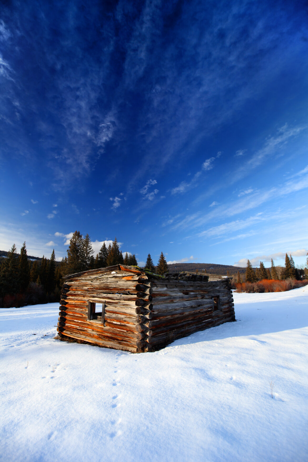 The Iconic Ferry Building Gallery Reopens in West Vancouver