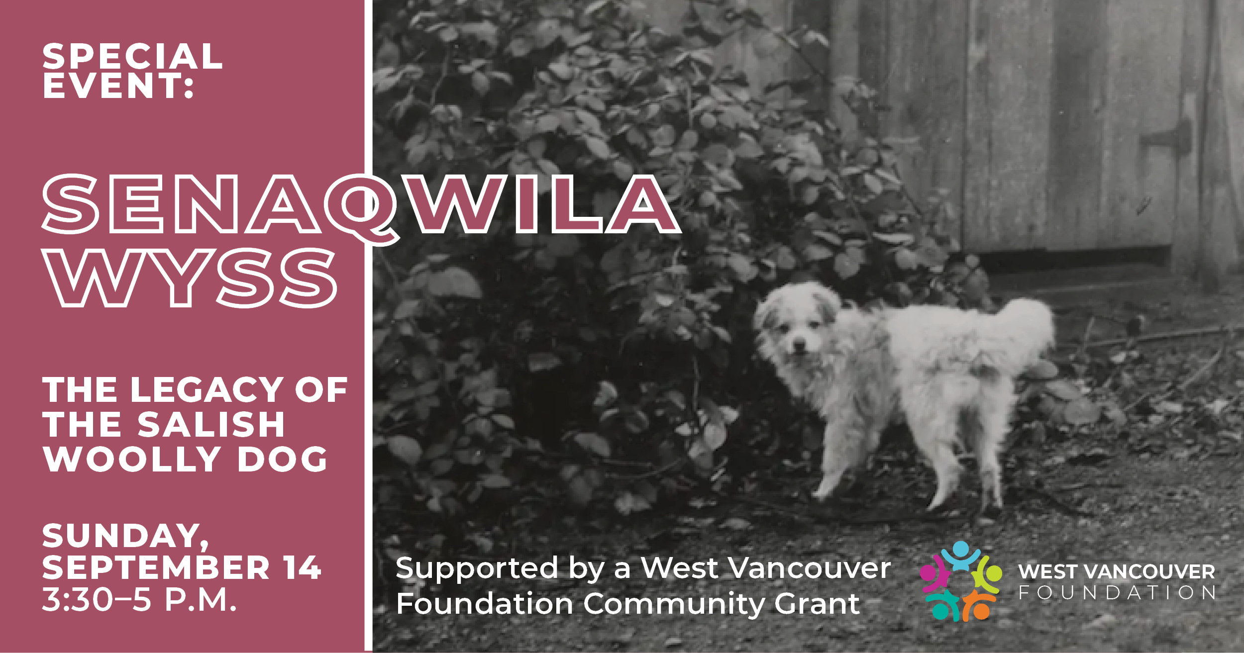 The Legacy of the Salish Woolly Dog - West Coast Curated