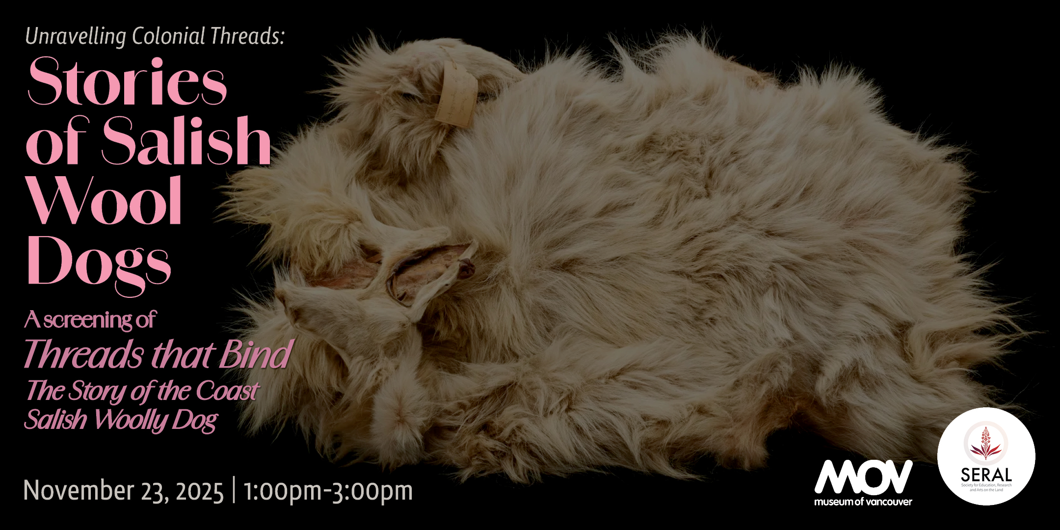 Stories of Salish Wool Dogs - West Coast Curated